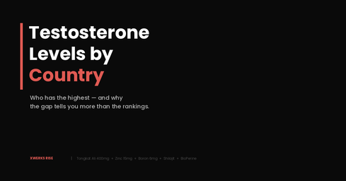 Which Countries Have The Highest Testosterone Levels – XWERKS
